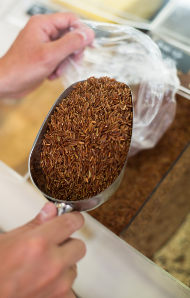 Can dogs eat brown rice? – Oscar Daisy